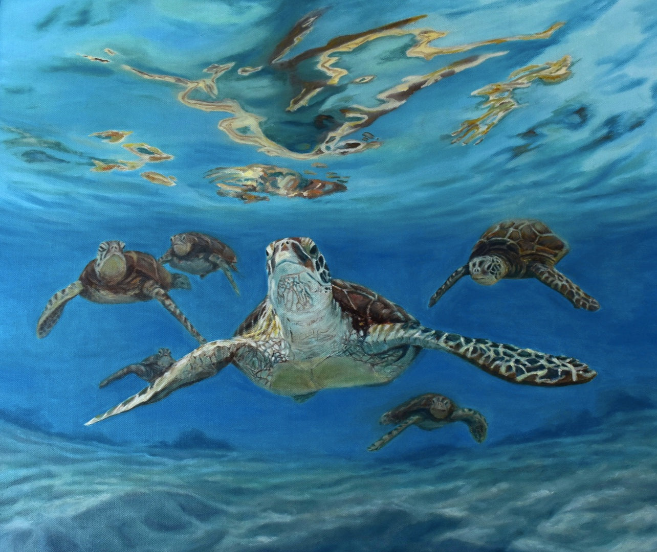 Katherine Polack | Ocean Artist